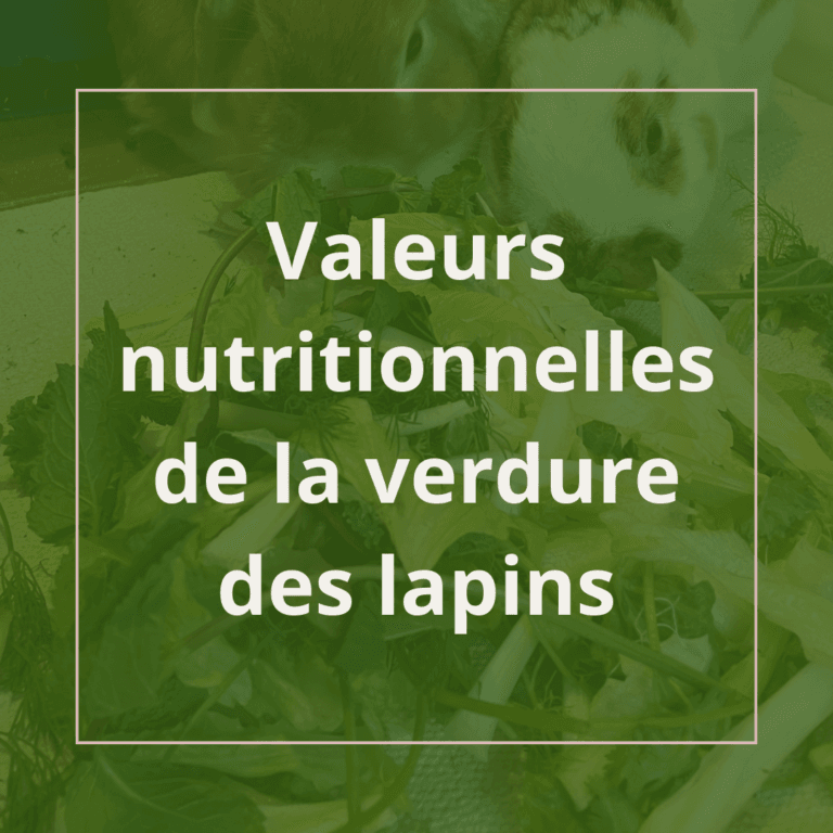 Tableau complet des valeurs nutritionnelles de la verdure des lapins ...